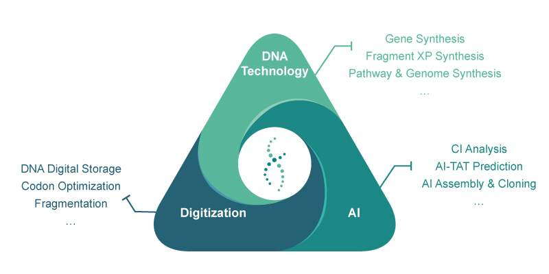 How DNA Synthesis Accelerates the Design-Build-Test-Learn Cycle – Limonwp